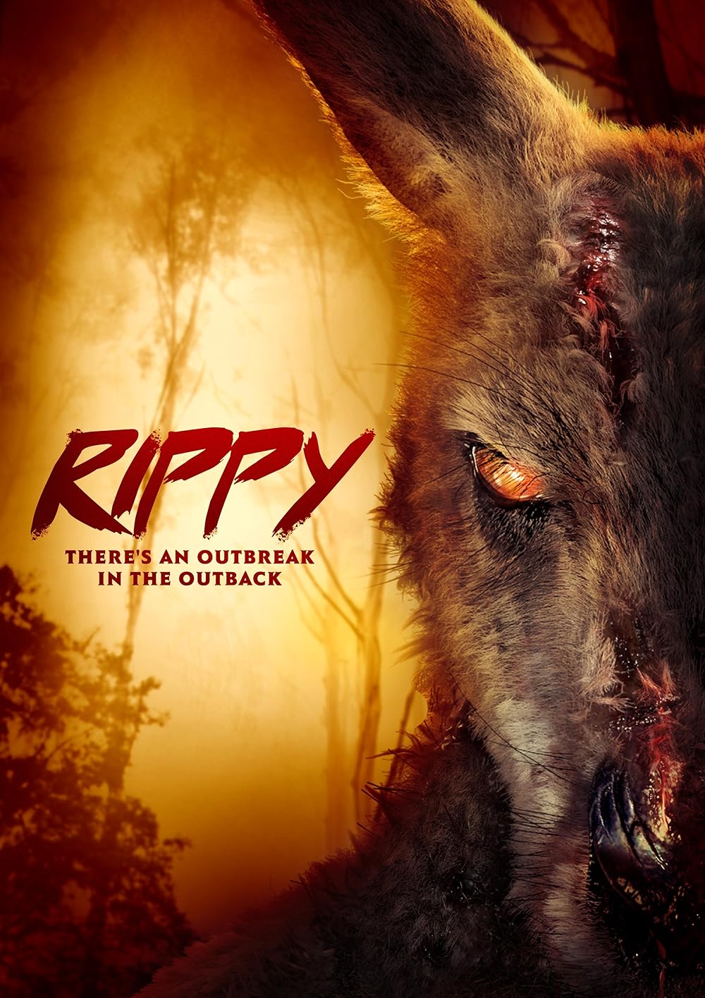 Rippy DVD Release Date December 3, 2024
